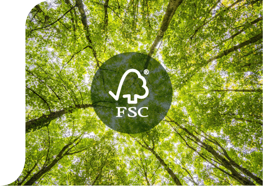 The Power of FSC® Certified Paper: Sustainable Solutions by NetsEco