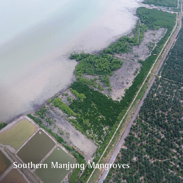 Nets Group Carbon Neutral Print Programme (CNPP)