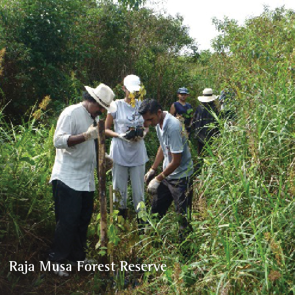Nets Group Carbon Neutral Print Programme (CNPP)