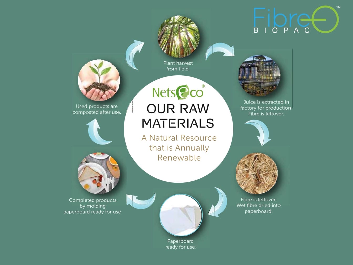 Fibreo: Your Path to Sustainable Food Ware in Malaysia's ESG