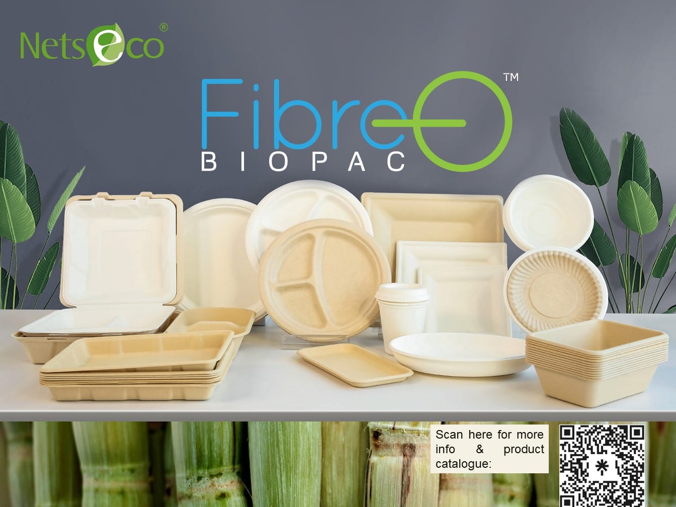 Fibreo: Your Path to Sustainable Food Ware in Malaysia's ESG